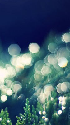 Unique Rare Background - 640x1136 Wallpaper - teahub.io