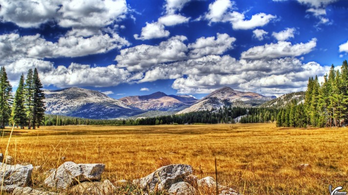 Rare Scenery - 2560x1440 Wallpaper - teahub.io