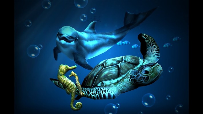 Dolphin And Sea Turtle - 1280x720 Wallpaper - teahub.io