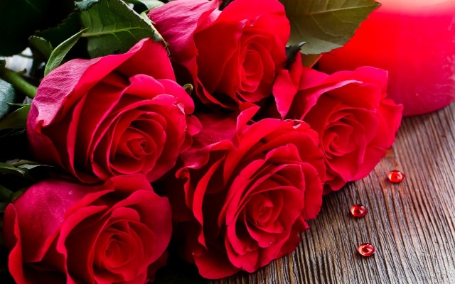 Bunch Of Red Roses - 2560x1600 Wallpaper - teahub.io