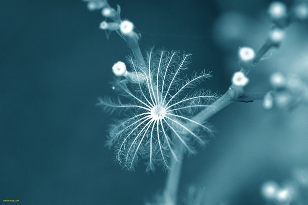 Download Home Screen Hd Wallpapers and Backgrounds - teahub.io