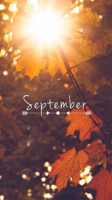 September Fall Backgrounds - 640x1136 Wallpaper - teahub.io