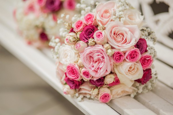 Baby Pink Rose - 7000x4666 Wallpaper - teahub.io