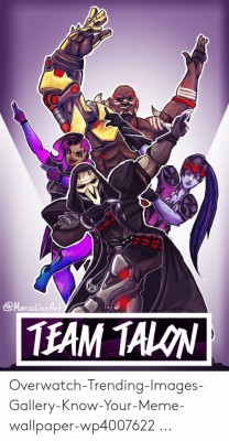 Meme, Images, And Wallpaper - Team Talon - 500x960 Wallpaper - teahub.io