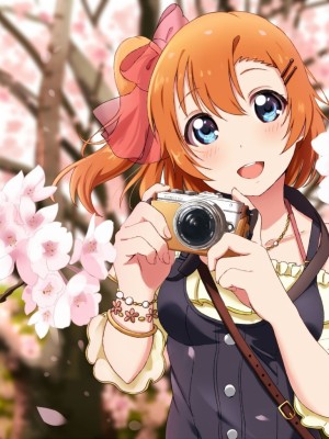 Sakura Anime Wallpaper Hd - 1920x1080 Wallpaper - teahub.io