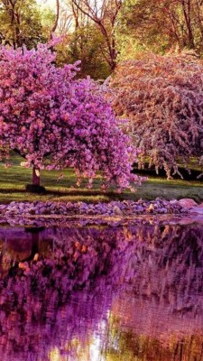 Springtime Nature Spring Backgrounds - 1600x1200 Wallpaper - teahub.io