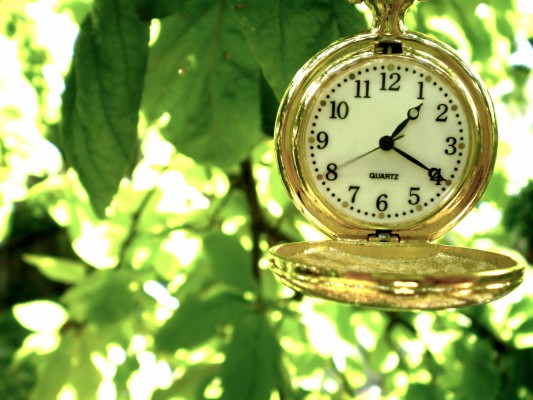 Clock Hanging From Tree - 3072x2304 Wallpaper - teahub.io