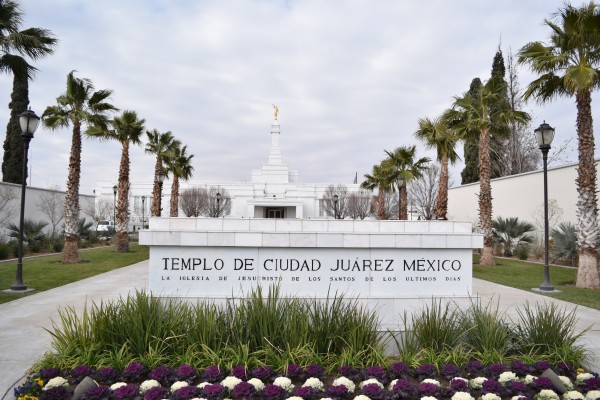 Templo Mormon Cd Juarez - 2400x1600 Wallpaper - teahub.io