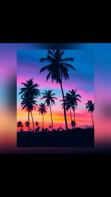 Pom Tree Sunset Art - 720x1280 Wallpaper - teahub.io