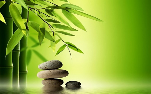 Download Wallpaper Bamboo Tree And Special Rocks For - Bamboo Tree ...
