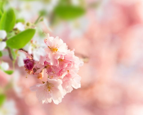 Download Themes Hd Wallpapers and Backgrounds - teahub.io