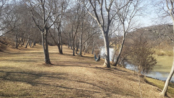 South African Winter Trees - 4128x2322 Wallpaper - teahub.io