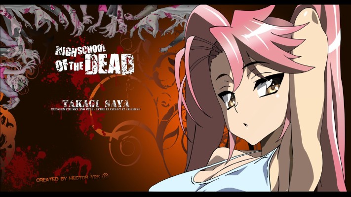 Highschool Of The Dead Full - Shizuka High School Of The Dead ...