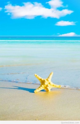 Summer Rays Wallpaper Hd Wallpapers Summer Wallpaper - Пейзаж Лета - 1920x1107 Wallpaper - teahub.io