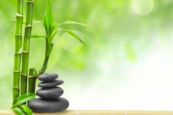 Bamboo Zen - 1500x1000 Wallpaper - teahub.io
