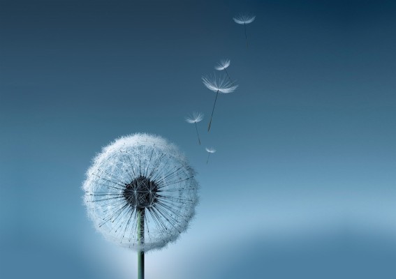 Samsung 49 Inch Monitor - 1920x1080 Wallpaper - teahub.io