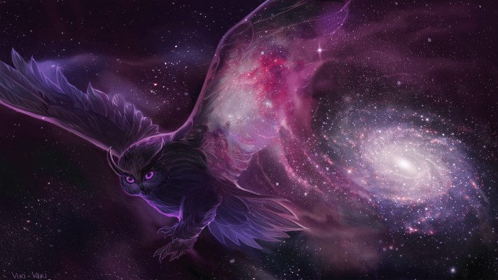 Space Owl Background - 2000x1124 Wallpaper - teahub.io