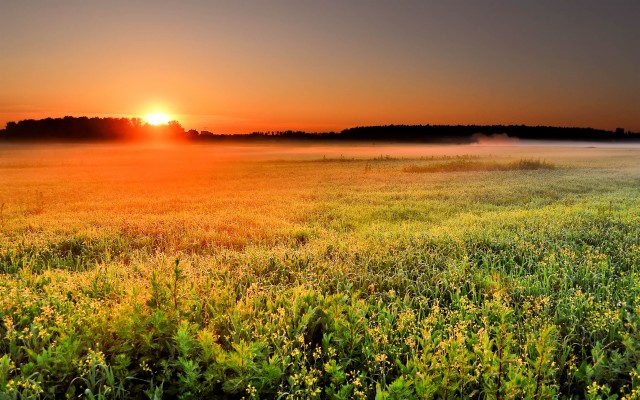 High Resolution Sunrise Background - 2560x1440 Wallpaper - teahub.io