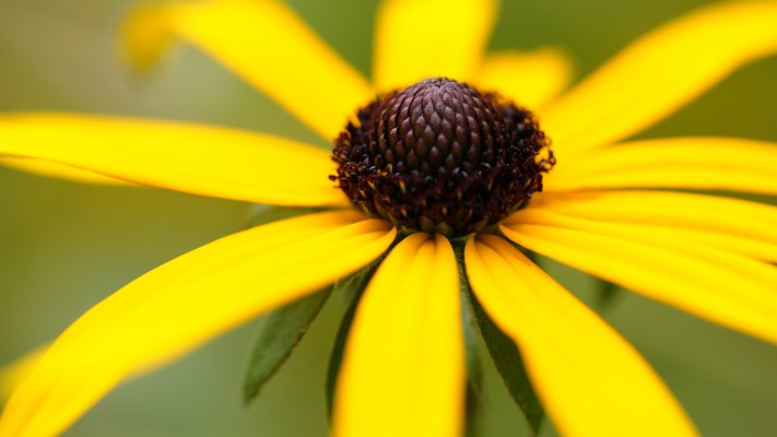 Best Wallpaper For Windows 10 Pro Hd - 1920x1080 Wallpaper - teahub.io