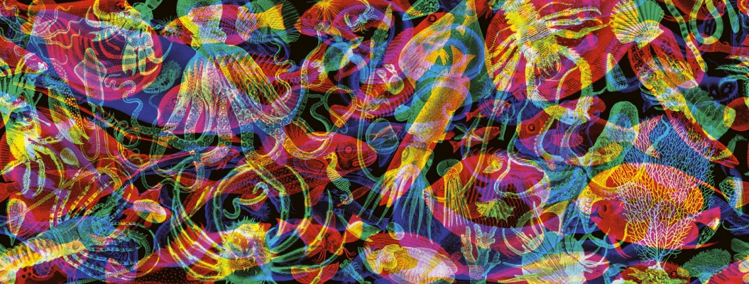 Carnovsky Wallpaper Black - 1441x546 Wallpaper - teahub.io