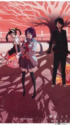 Monogatari Wallpaper - 1000x1545 Wallpaper - teahub.io