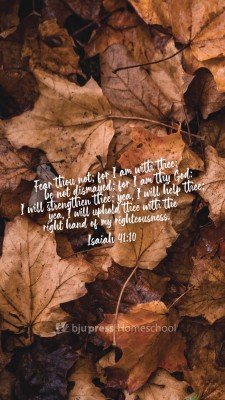 Bible In Fall Leaves - 910x682 Wallpaper - teahub.io