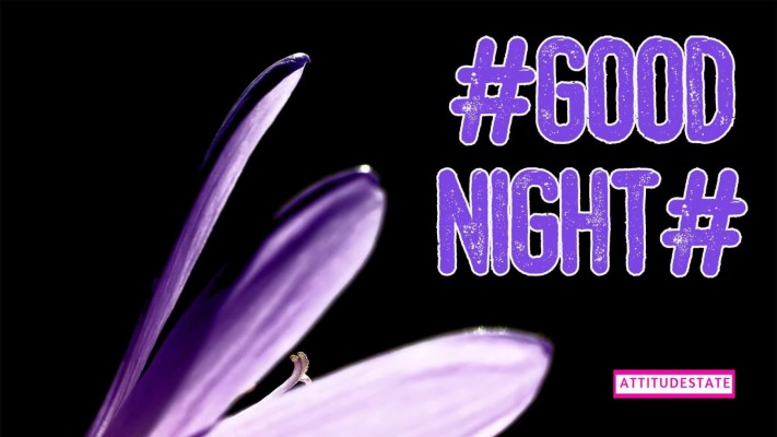Night Spring - 1680x1050 Wallpaper - teahub.io