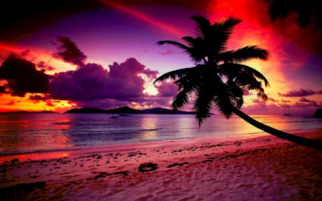 Top Most Wallpapers - Most Walpaper - 1024x640 Wallpaper - teahub.io