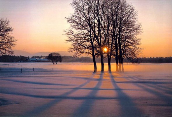 Winter Free Screen Savers - 1152x780 Wallpaper - teahub.io