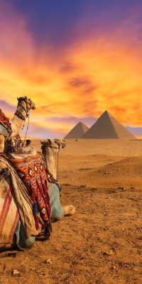The Pyramids In Cairo - Pyramids Of Egypt Screensaver - 1920x1080 ...