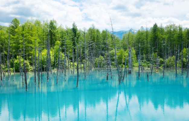 Photo Wallpaper Nature, Water, Trees, Biei, Blue Pond - Shirogane Blue ...