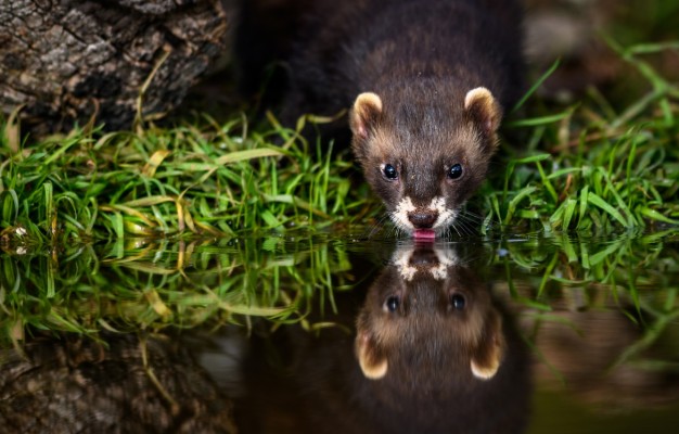 Girl Drinking Water - 1024x768 Wallpaper - teahub.io