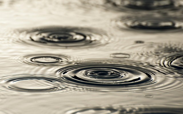 Ripple Effect - Macro Photography - 1920x1200 Wallpaper - teahub.io