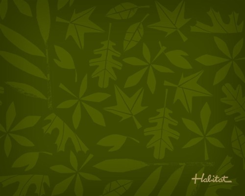 Awesome Habitat Wallpapers, Shawna Fullerton - 1280x1024 Wallpaper ...