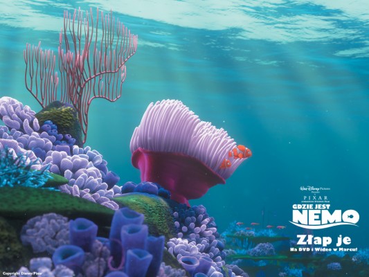 Finding Nemo Eac - 1920x1080 Wallpaper - teahub.io