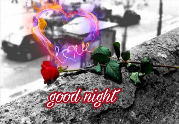 Good Night With Rose - Rose Good Night Images Hd - 1200x834 Wallpaper ...