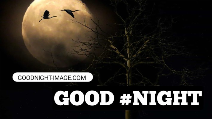 Best Goodnight Moon Images - Photo Caption - 1600x900 Wallpaper - teahub.io