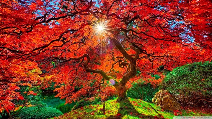 Top Hd Batman Movie Desktop Wallpapers - Autumn Paradise - 1600x900 ...