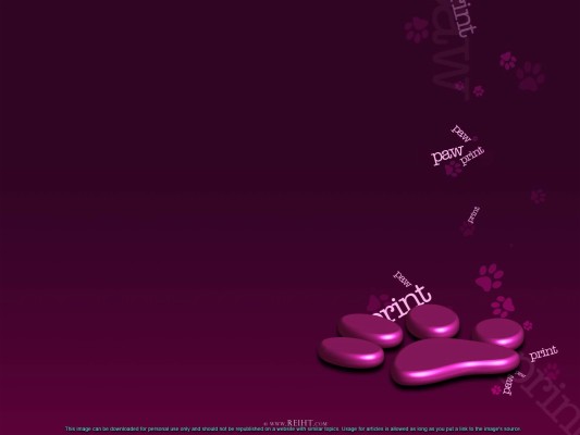 Pet Background Slide - Paw Print Powerpoint Template - 1600x1200 ...