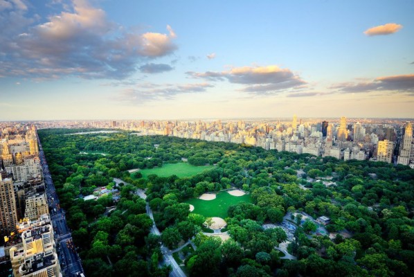 Central Park High Resolution - 1024x684 Wallpaper - teahub.io