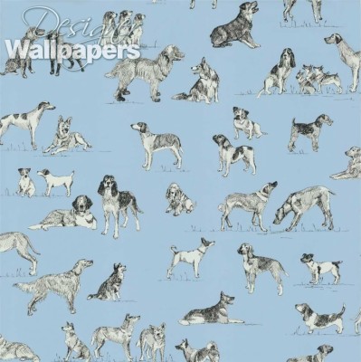 Best Friend - Dog Themed Wallpaper Uk - 740x740 Wallpaper - teahub.io