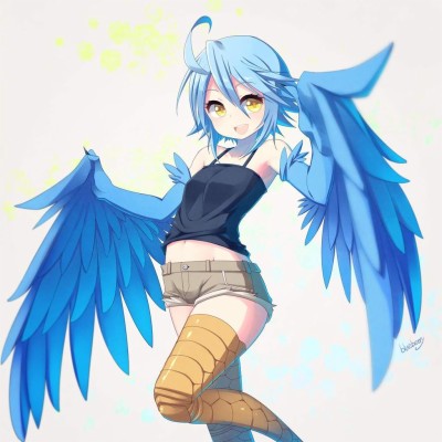 User Uploaded Image - Harpy Monster Musume - 1024x1024 Wallpaper ...