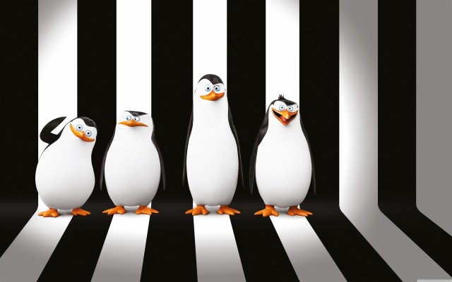 Penguins Of Madagascar Eva The Owl - 1920x1080 Wallpaper - teahub.io