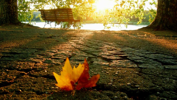 Download 1280x720 Hd Wallpapers Wallpapers and Backgrounds - teahub.io
