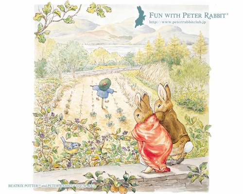 Beatrix Potter Peter Rabbit - 1500x1291 Wallpaper - teahub.io