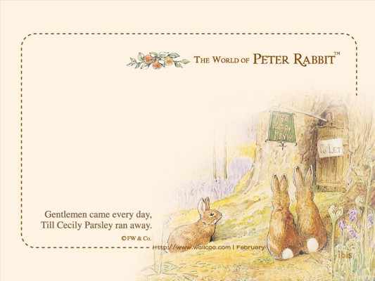Beatrix Potter - Peter Rabbit - 800x640 Wallpaper - teahub.io
