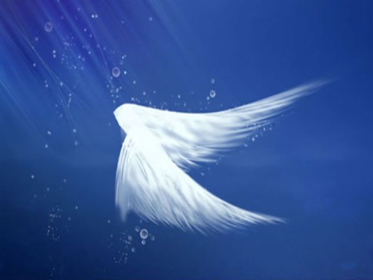 My Soul Is Flying - 800x600 Wallpaper - teahub.io