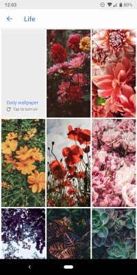 Google Wallpaper Life - 1440x2880 Wallpaper - teahub.io