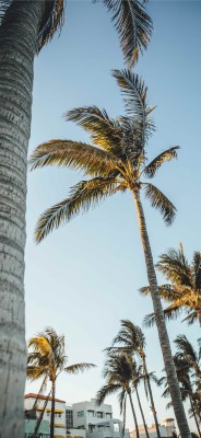 3840x2160, Miami Beach - Miami Beach Wallpaper Hd - 3840x2160 Wallpaper ...