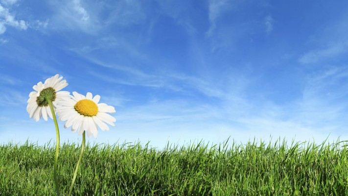 Nature Wallpapers High Resolution Spring Blue Sky And - Spring ...